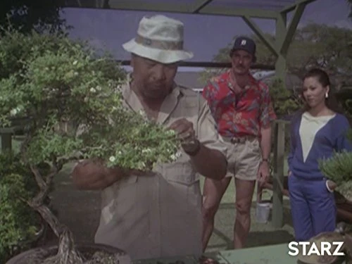 Forty Years from Sand Island | Magnum, P.I. Wiki | Fandom