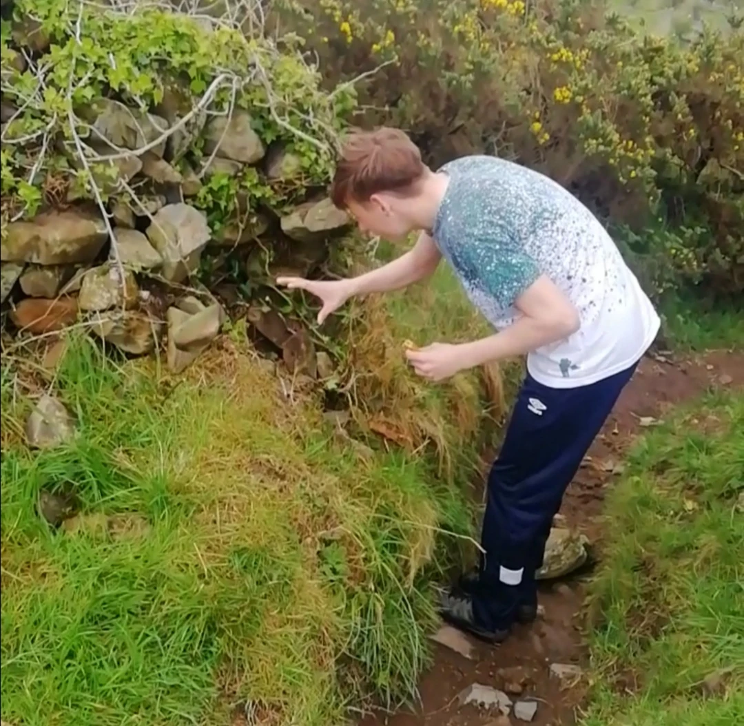 Harry Orr | Mags In Rags Wiki | Fandom