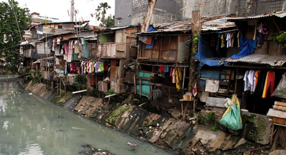 Ards | Mags In Rags Wiki | Fandom