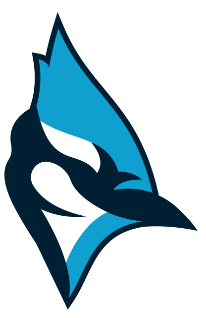 Lake Elmo Bluejays | Minnesota Amateur Hockey League Wiki | Fandom