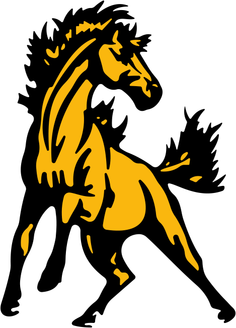 Rochester Mustangs | Minnesota Amateur Hockey League Wiki | Fandom