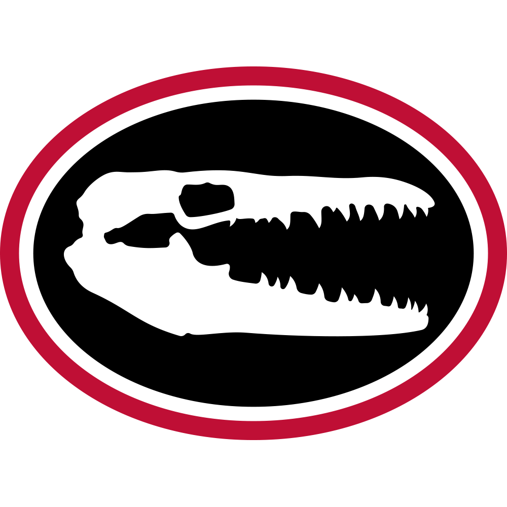 Morden Monsters | Minnesota Amateur Hockey League Wiki | Fandom