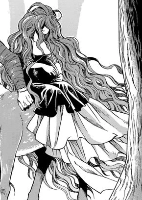 Morrígan/Gallery | Ancient Magus Bride Wiki | Fandom