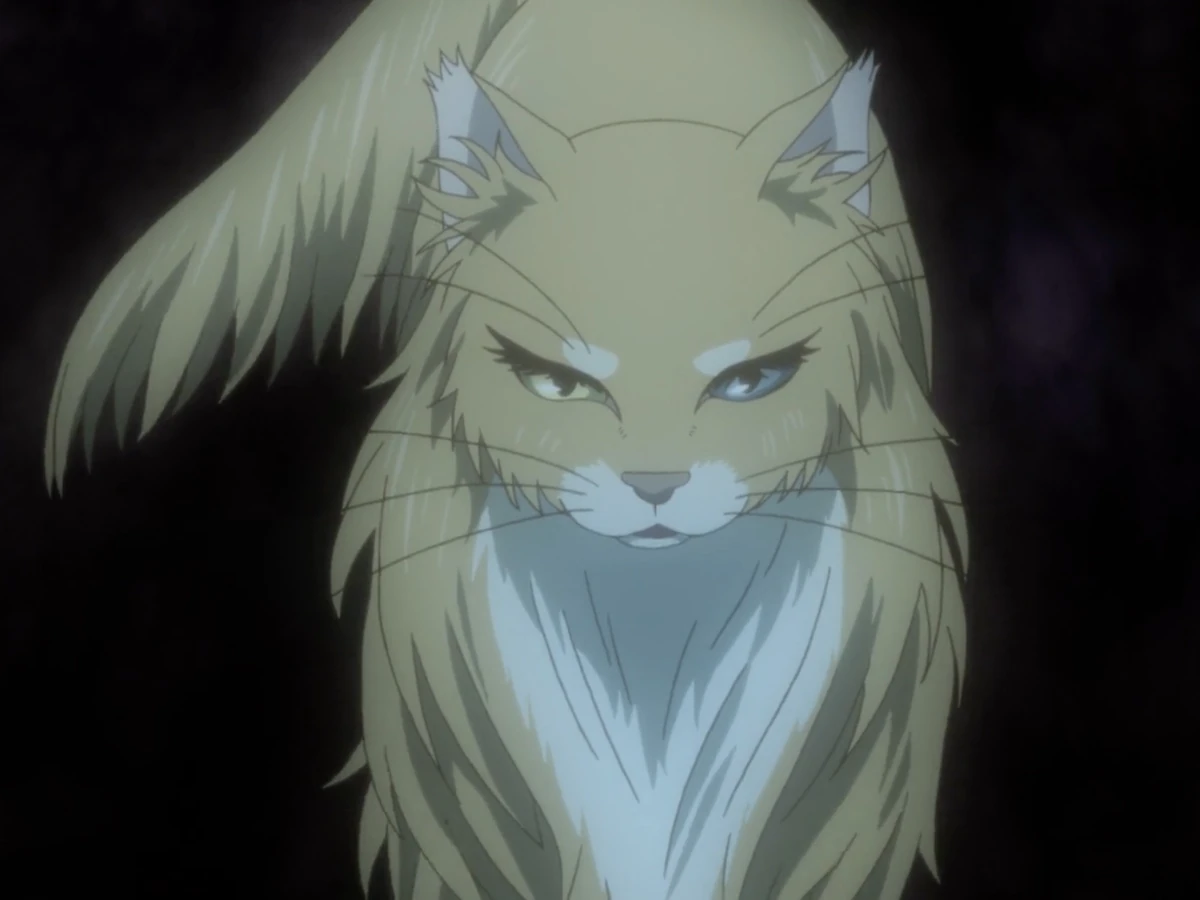 Molly | Ancient Magus Bride Wiki | Fandom