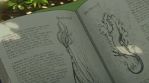 Fae | Ancient Magus Bride Wiki | Fandom