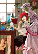 Silver Lady/Gallery | Ancient Magus Bride Wiki | Fandom
