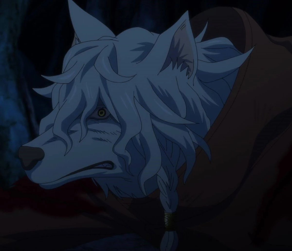 Female Werewolf | Ancient Magus Bride Wiki | Fandom