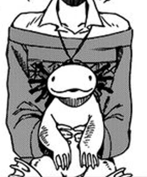 Salamander | Ancient Magus Bride Wiki | Fandom