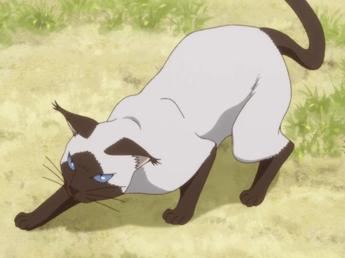 Bernie | Ancient Magus Bride Wiki | Fandom