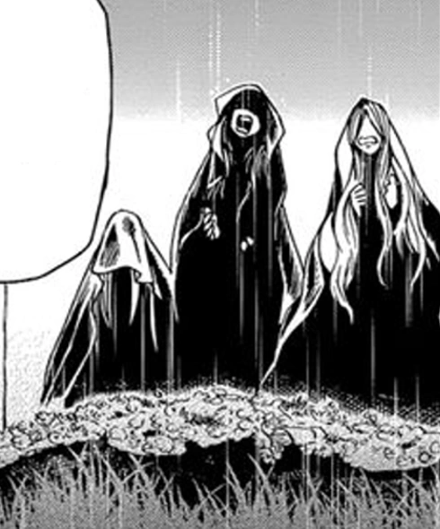 Banshee | Ancient Magus Bride Wiki | Fandom