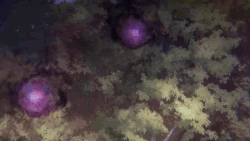 Kudou Minoru | Mahouka Koukou no Rettousei Wiki | Fandom