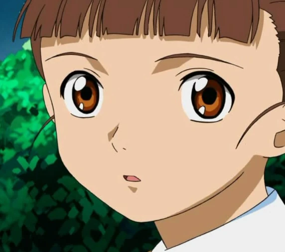 Akane Higurashi | Mai-HiME Wiki | Fandom