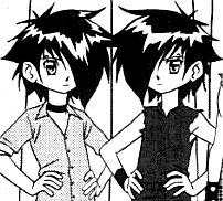 Remus and Romulus Wolfe | Mail Order Ninja Wiki | Fandom