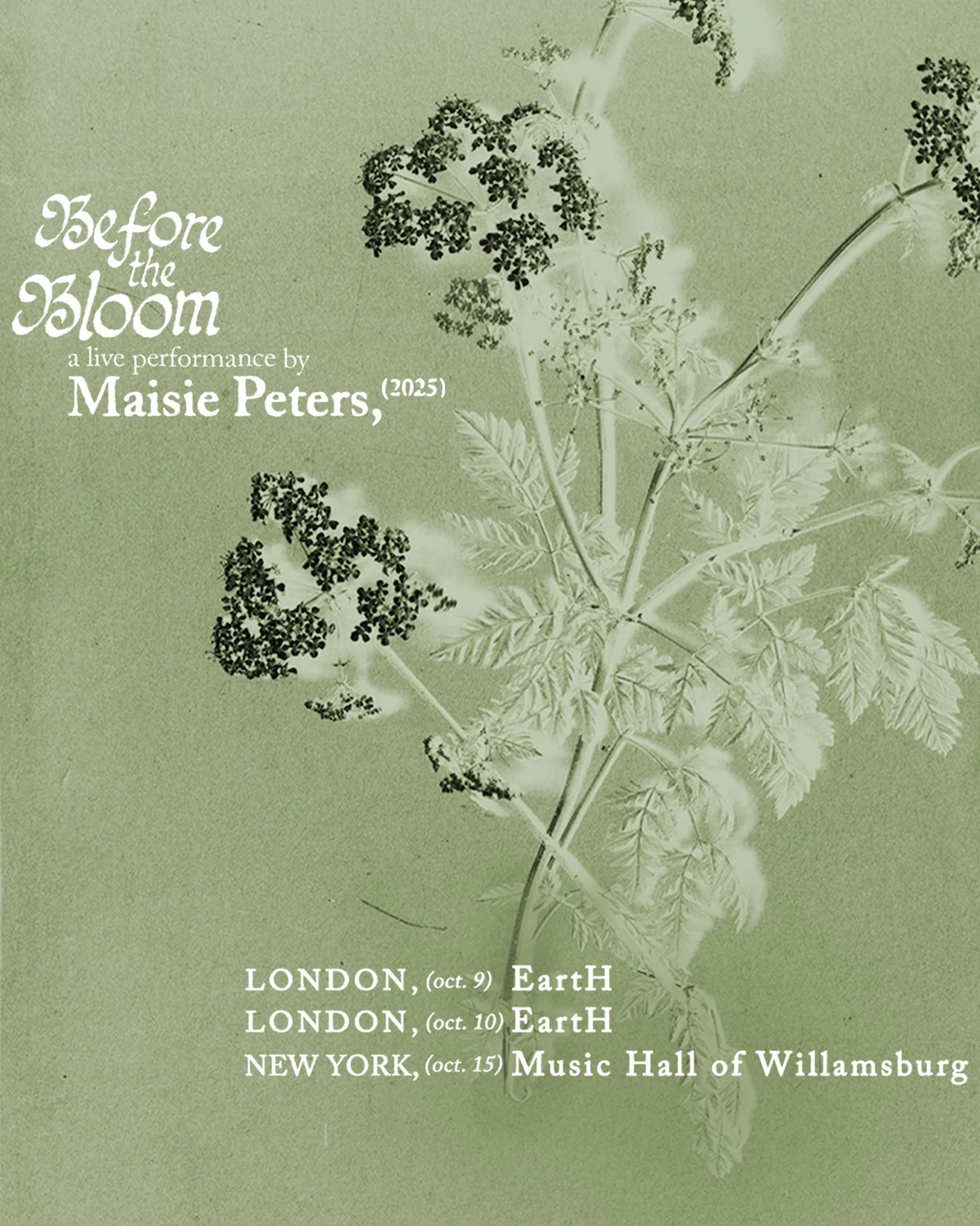 Before the Bloom | Maisie Peters Wiki | Fandom