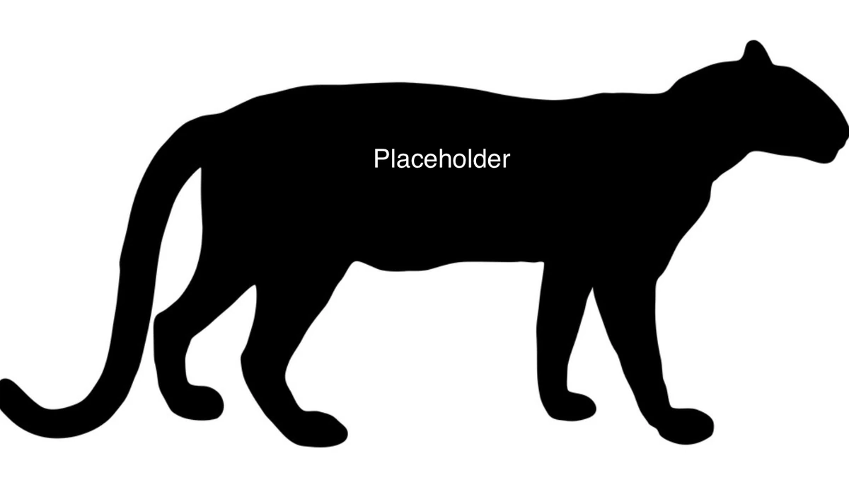 Princess Vixen | Majestic Cheetah Wiki | Fandom