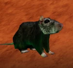 Leader of THE RATS | Make a Cake Wiki | Fandom