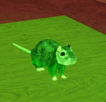 Leader of THE RATS | Make a Cake Wiki | Fandom