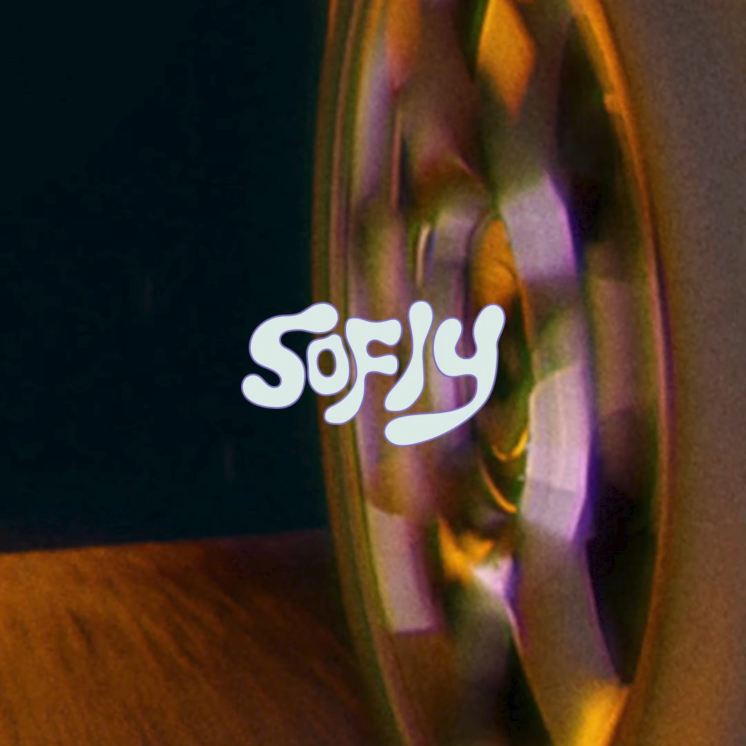 So Fly | MAVE: Wiki | Fandom