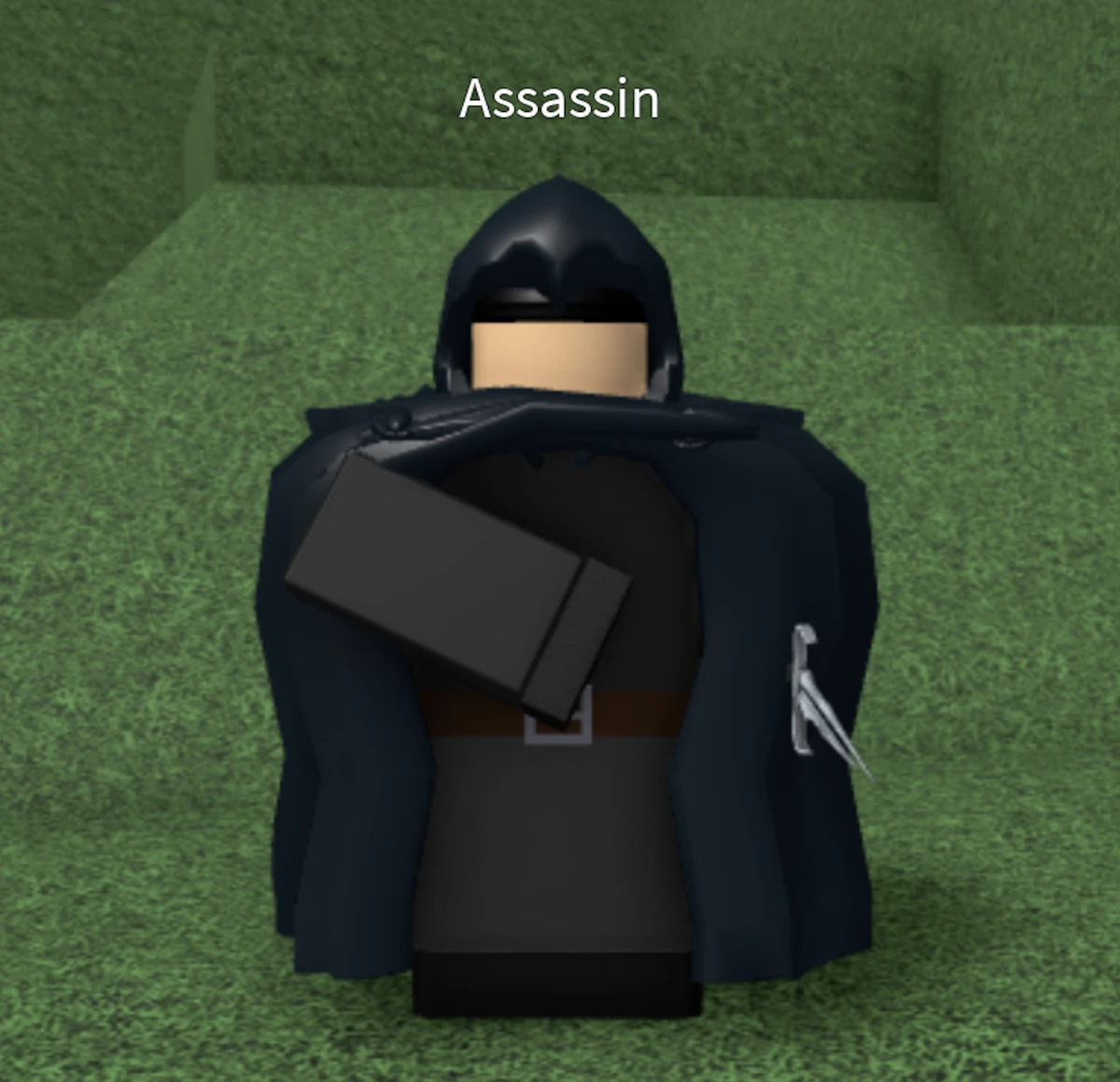 Assassin | Make Your Own Army Roblox Wiki | Fandom