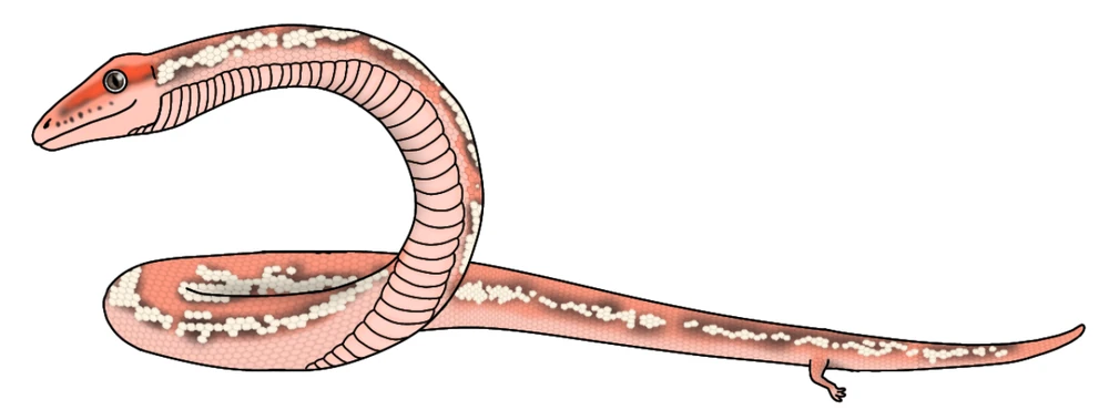 Najash | Maker Scratchpad YouTube Wiki | Fandom