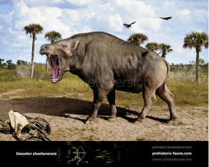 Daeodon | Maker Scratchpad YouTube Wiki | Fandom