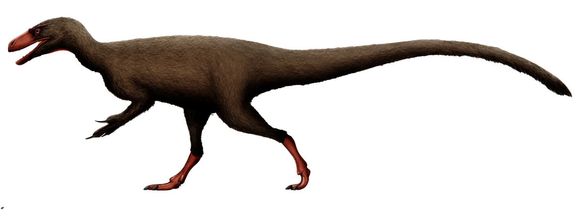 Tanycolagreus Maker Scratchpad Youtube Wiki Fandom
