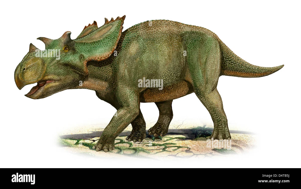 Utahceratops | Maker Scratchpad YouTube Wiki | Fandom