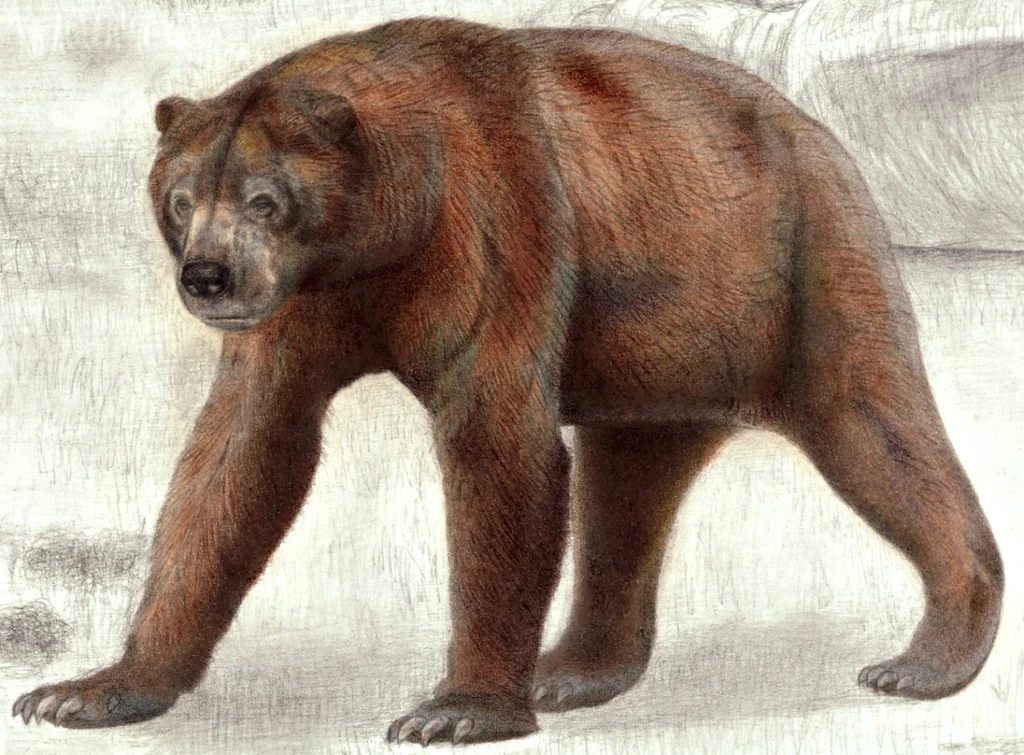 Arctotherium | Maker Scratchpad YouTube Wiki | Fandom