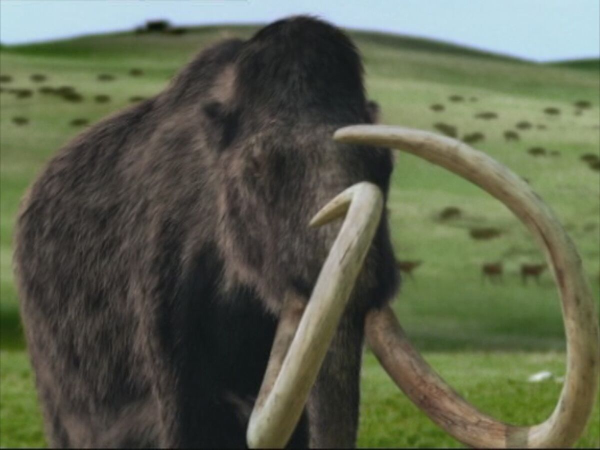 Woolly Mammoth Maker Scratchpad Youtube Wiki Fandom