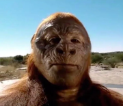 Paranthropus | Maker Scratchpad YouTube Wiki | Fandom