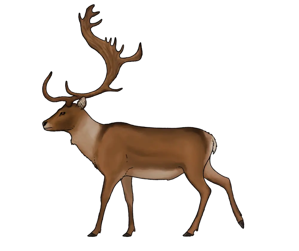 Praemegaceros | Maker Scratchpad YouTube Wiki | Fandom