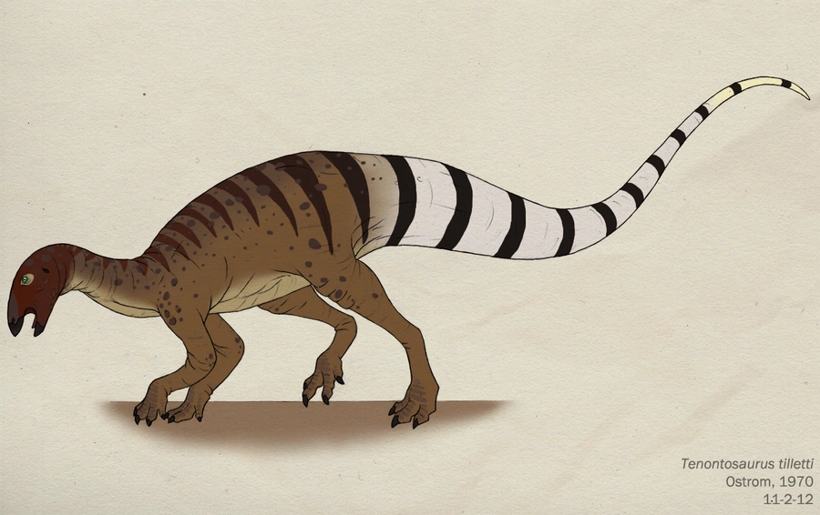 Tenontosaurus | Maker Scratchpad YouTube Wiki | Fandom
