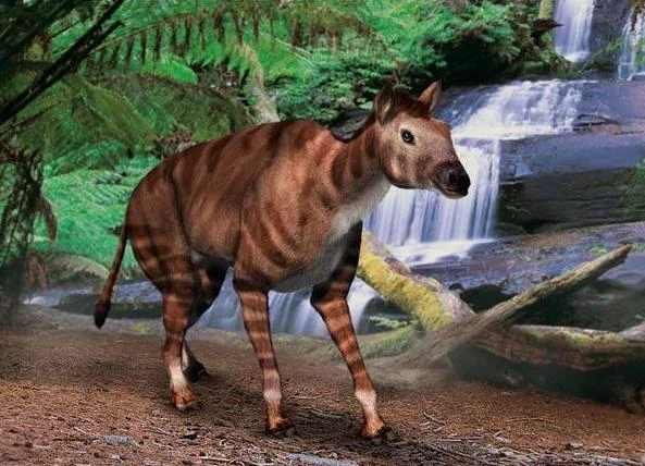 Helladotherium | Maker Scratchpad YouTube Wiki | Fandom