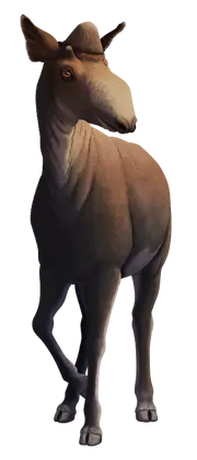 Tsaidamotherium | Maker Scratchpad YouTube Wiki | Fandom