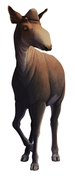 Tsaidamotherium | Maker Scratchpad YouTube Wiki | Fandom