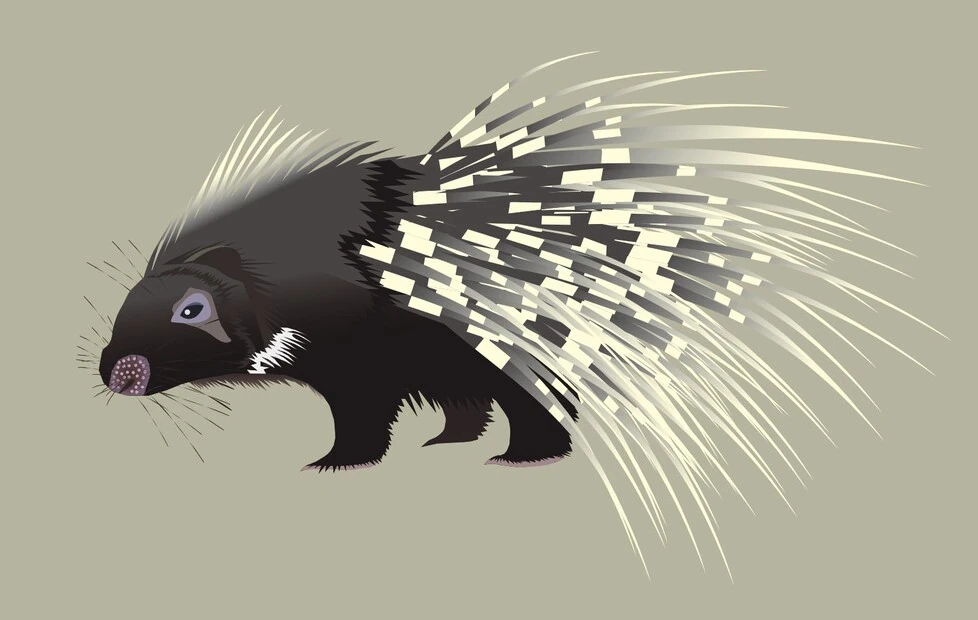 Hystrix refossa | Maker Scratchpad YouTube Wiki | Fandom