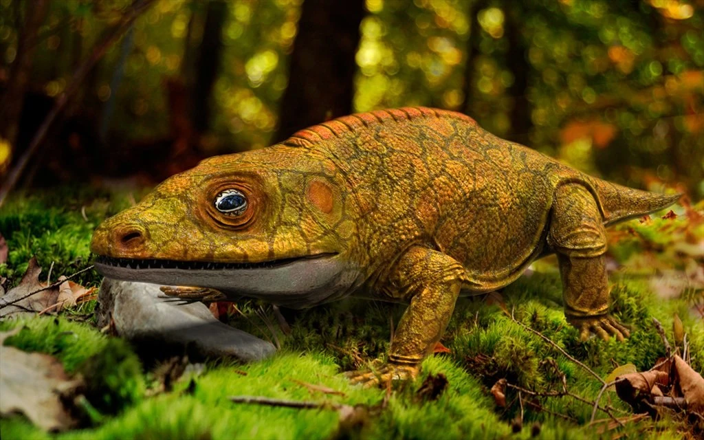 Cacops | Maker Scratchpad YouTube Wiki | Fandom