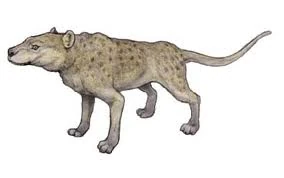 Cynodesmus | Maker Scratchpad YouTube Wiki | Fandom