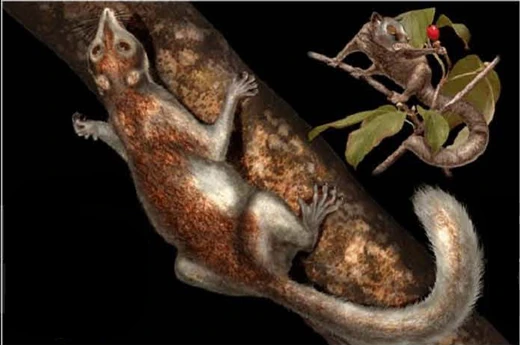 Torrejonia | Maker Scratchpad YouTube Wiki | Fandom