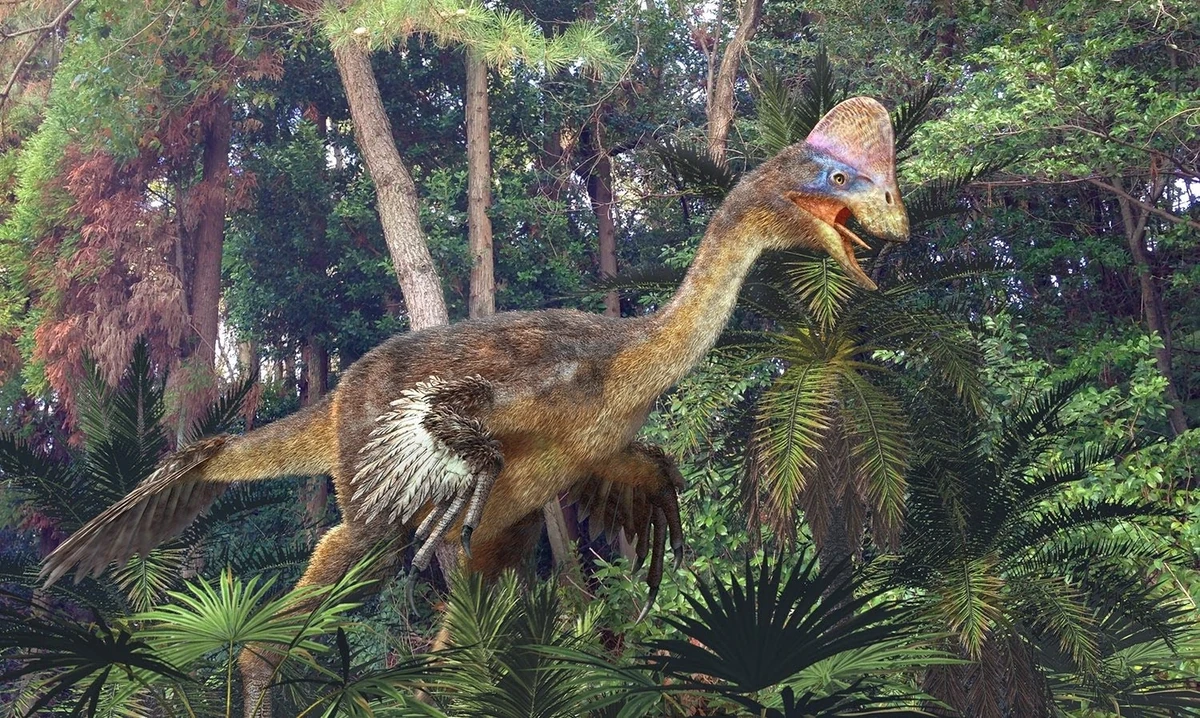 Anzu | Maker Scratchpad YouTube Wiki | Fandom