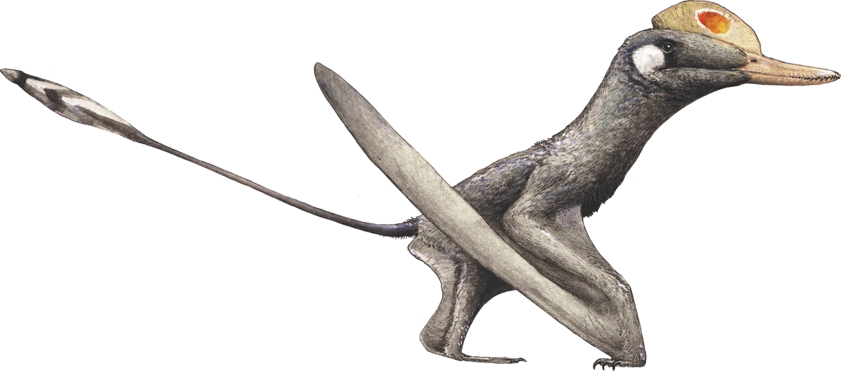 Mesadactylus | Maker Scratchpad YouTube Wiki | Fandom