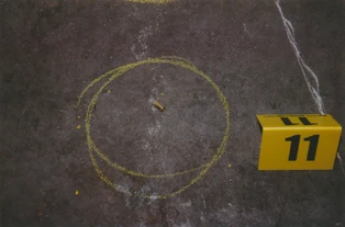 Shell casings | Making a Murderer Wikia | Fandom