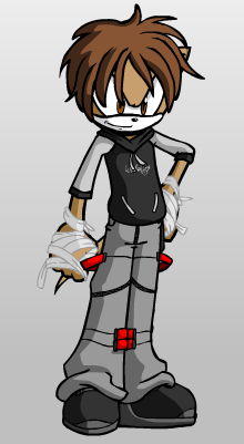 Jacob the Hedgehog | Making the Crossover Wiki | Fandom