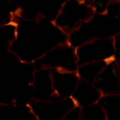 Molten Rock | Malachite Miners 2 Wiki | Fandom