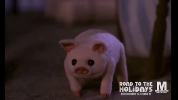 December 3, 2023 | Maldonado Network Wiki | Fandom