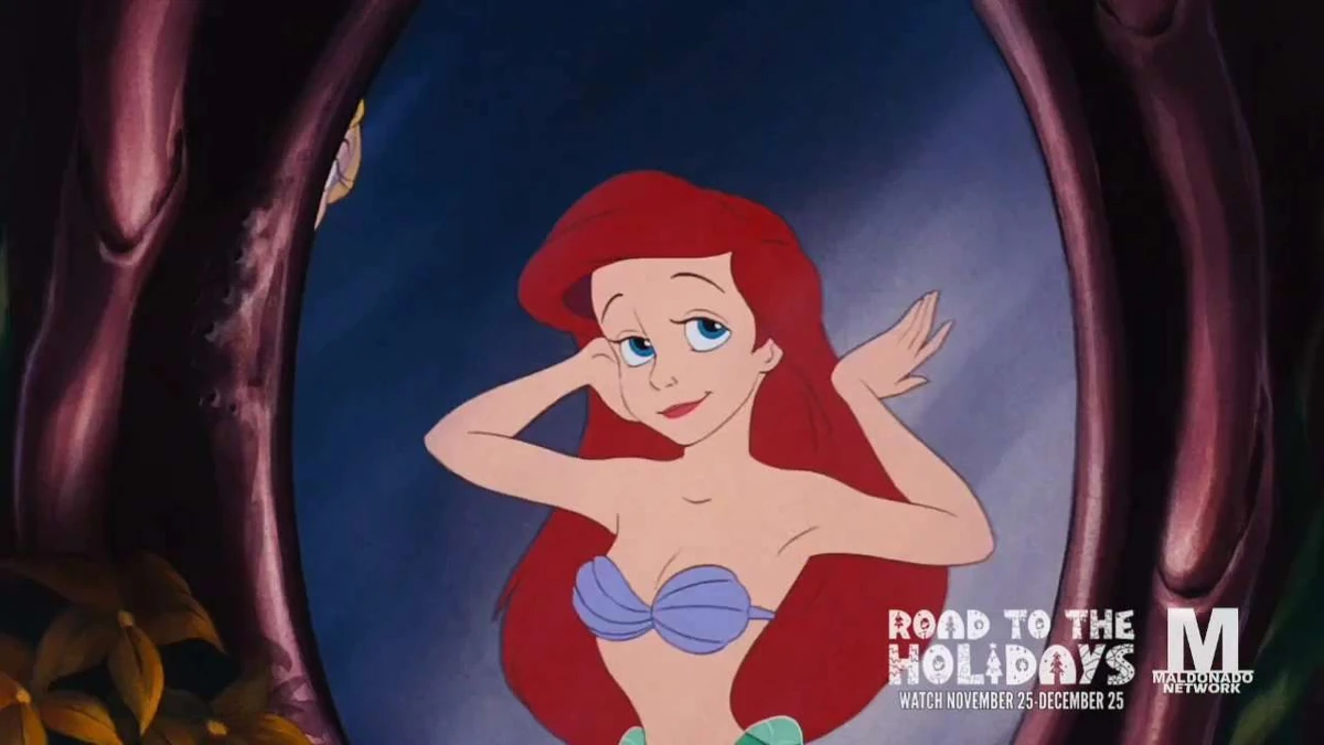 December 3, 2023 | Maldonado Network Wiki | Fandom