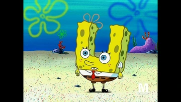 February 25, 2024 | Maldonado Network Wiki | Fandom