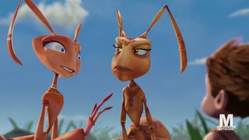 July 30, 2023 | Maldonado Network Wiki | Fandom