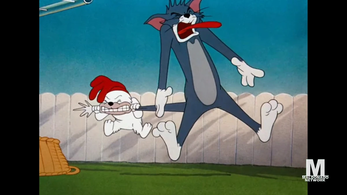 April 1, 2024 | Maldonado Network Wiki | Fandom