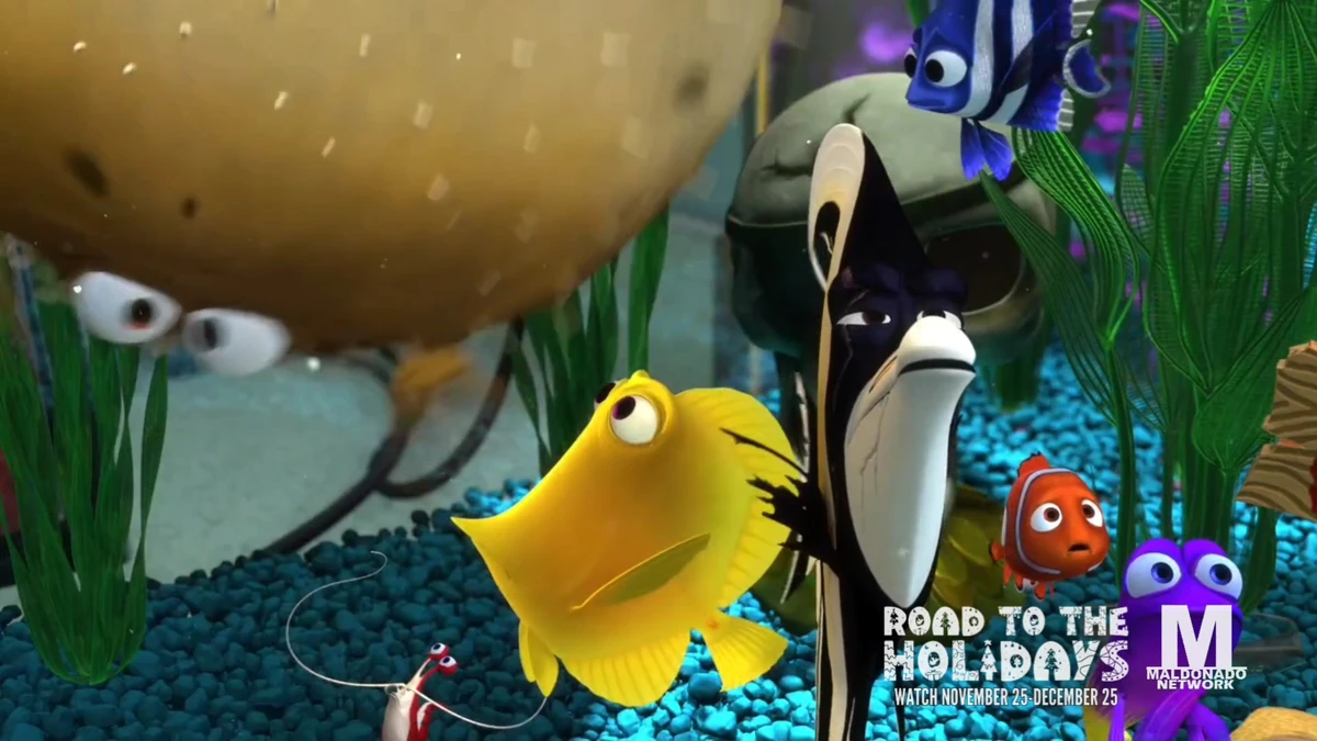 December 11, 2023 | Maldonado Network Wiki | Fandom